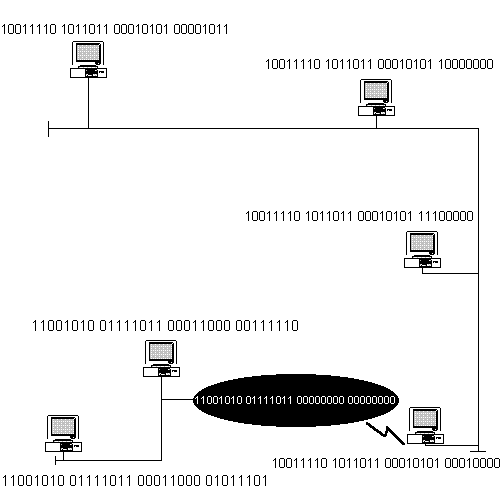 Chapter 3 Internet Addressing